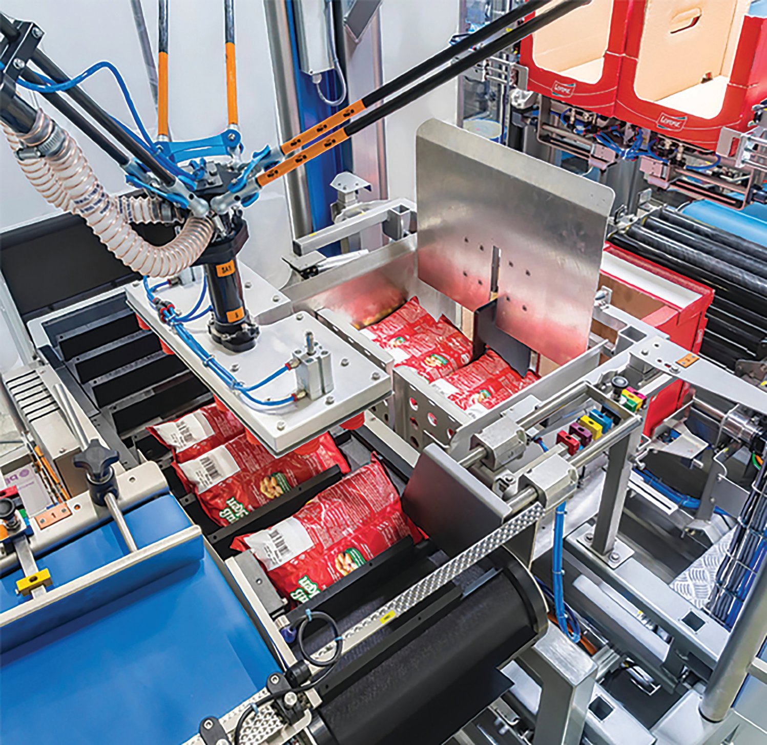 Comparing All-in-One and Modular Packaging Systems